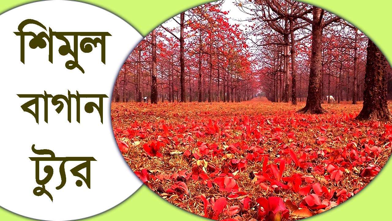 শিমুল বাগান Shimul Bagan ভ্রমণ গাইড - Prethibi.com